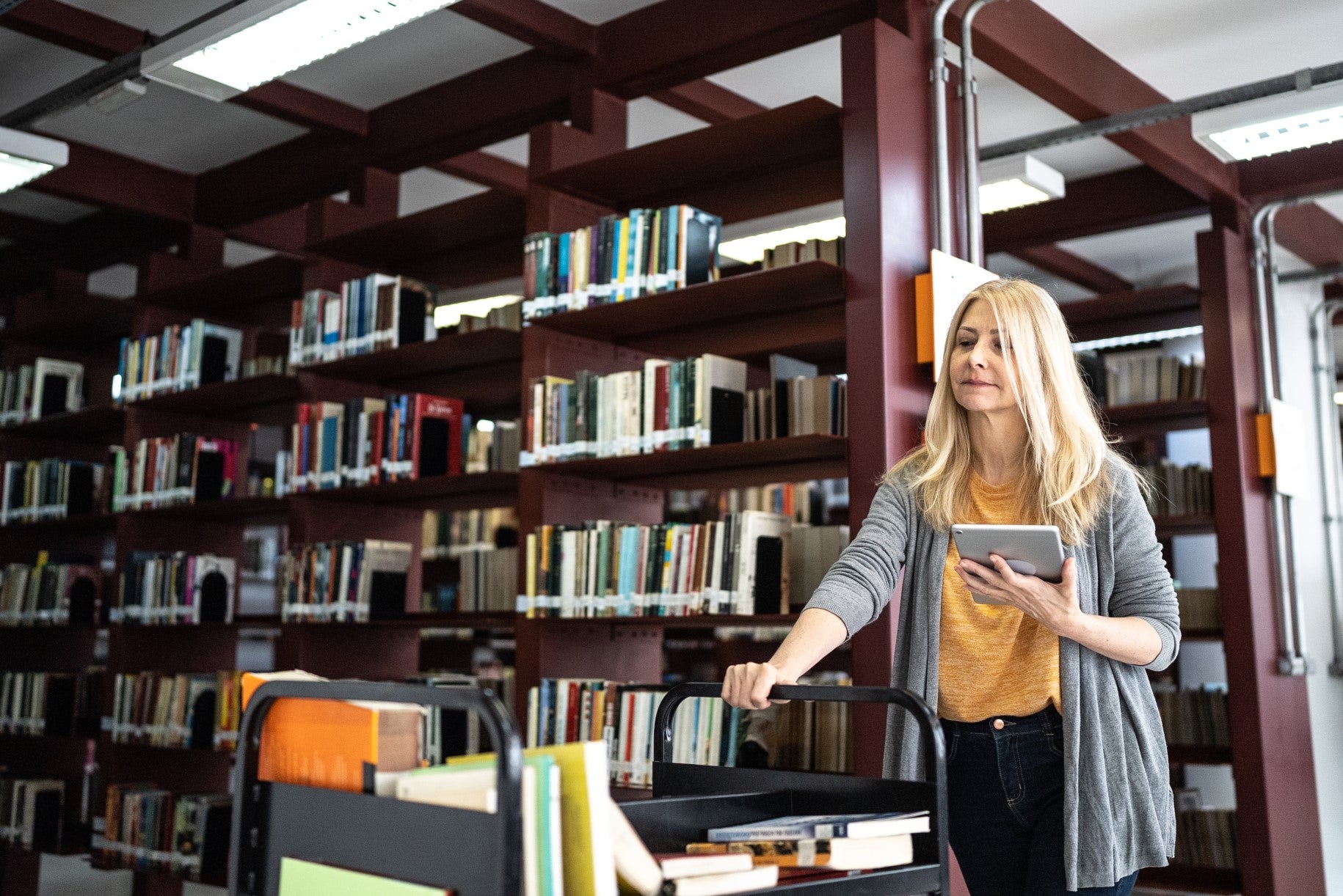 Sierra Library Services Platform | ILS Platform | iii.com